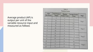Basic Micro Economics THEORY-OF-PRODUCTION.pptx