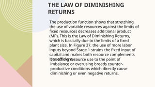 Basic Micro Economics THEORY-OF-PRODUCTION.pptx