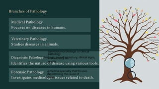 Theory 1- Pathology, branches, terminologies.pptx
