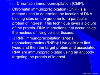 Protein Immunoprecipitation | PPT