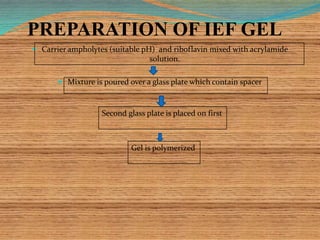 Theory and application of Isotachophoresis and Isoelectric focussing | PPTX