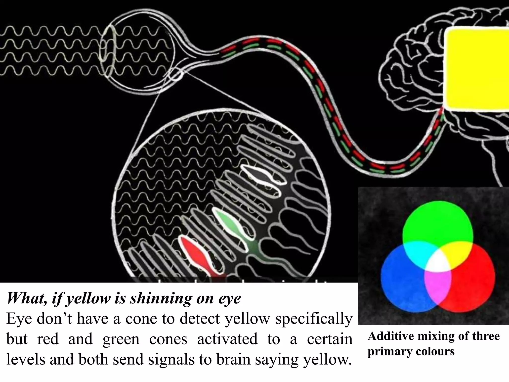 Theory and principle of colour management application and communication ...
