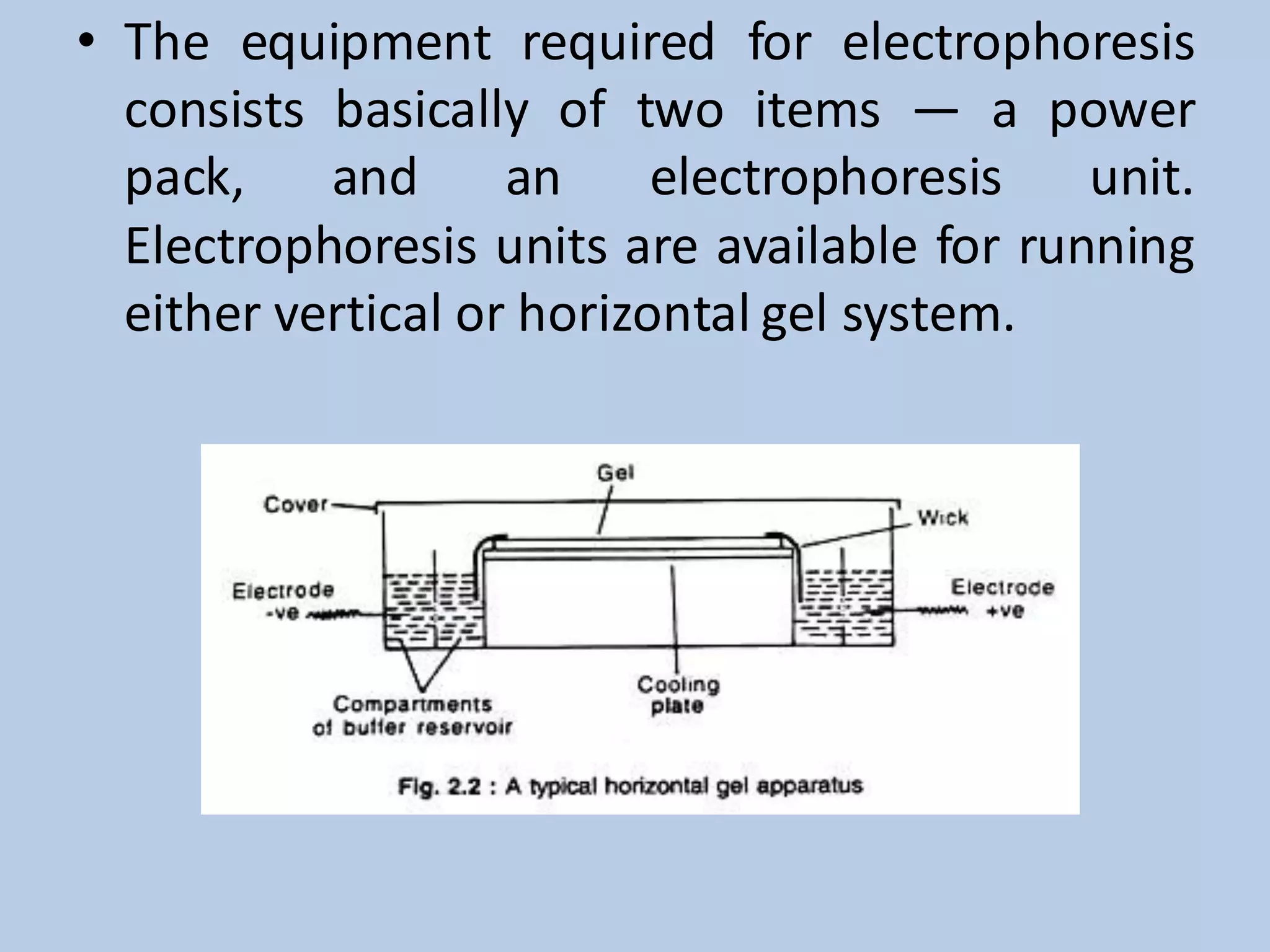 THEORY AND PRINCIPLE OF ELECTROPHORESIS.pdf