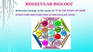 Cell and Molecular Biology: Definitions theory and basics, History and ...