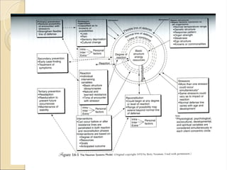 Nursing Theory: theory betty neuman as a system model | PPT
