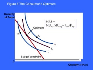 Theory consumer choice | PPT