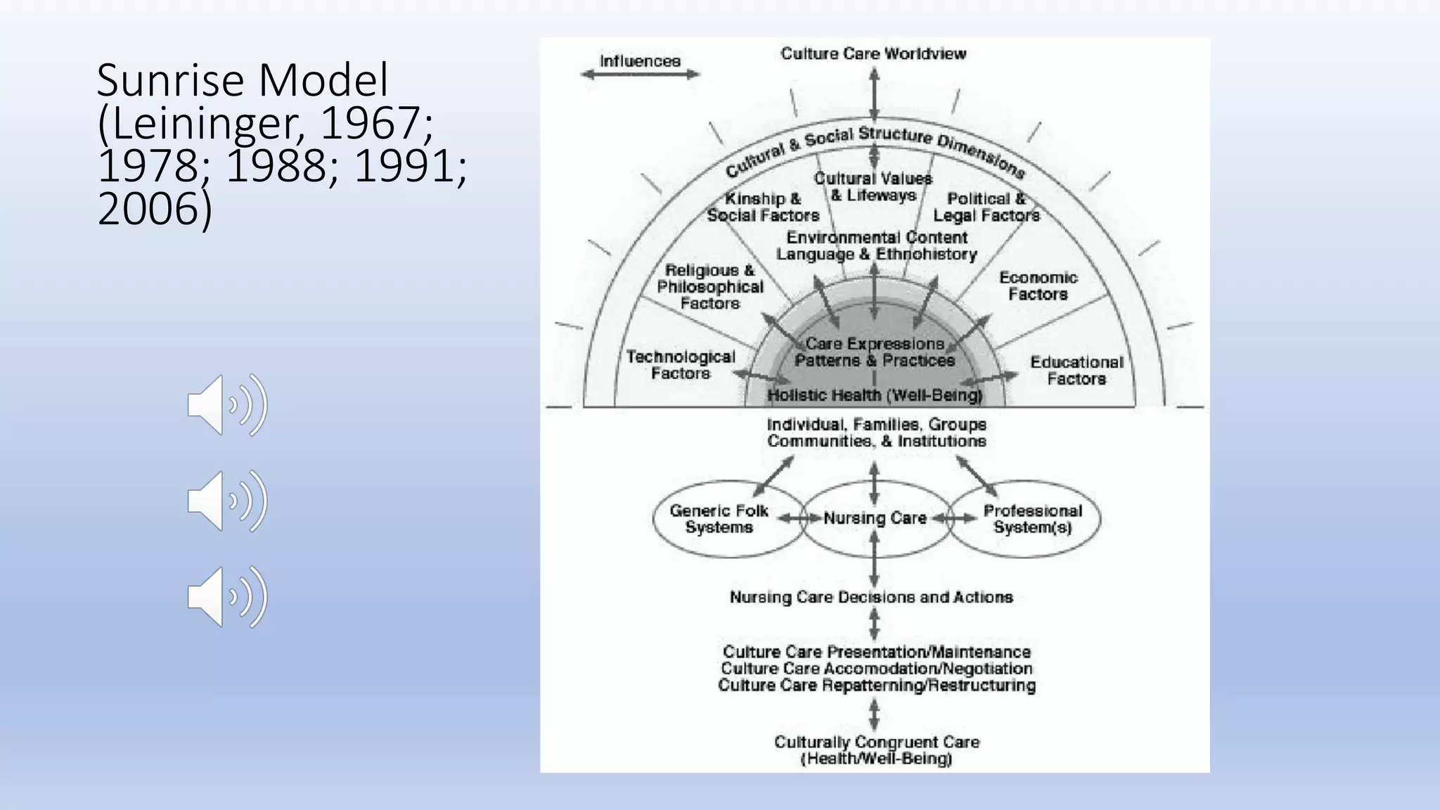Madeleine Leininger's Theory of Nursing: Cultural Care Diversity and ...