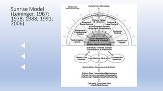 Madeleine Leininger's Theory of Nursing: Cultural Care Diversity and ...