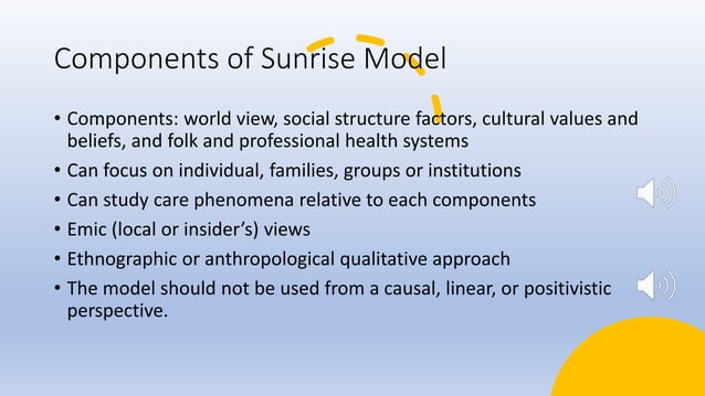 Madeleine Leininger's Theory of Nursing: Cultural Care Diversity and ...