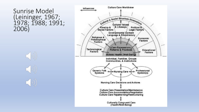 Madeleine Leininger's Theory of Nursing: Cultural Care Diversity and ...