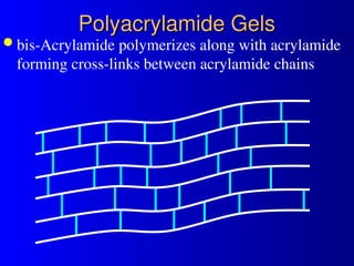 Theory Lec 6 SDS-PAGE by imran.ppt Gel Electrophoresis | PPT