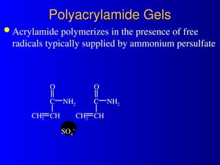 Theory Lec 6 SDS-PAGE by imran.ppt Gel Electrophoresis | PPT