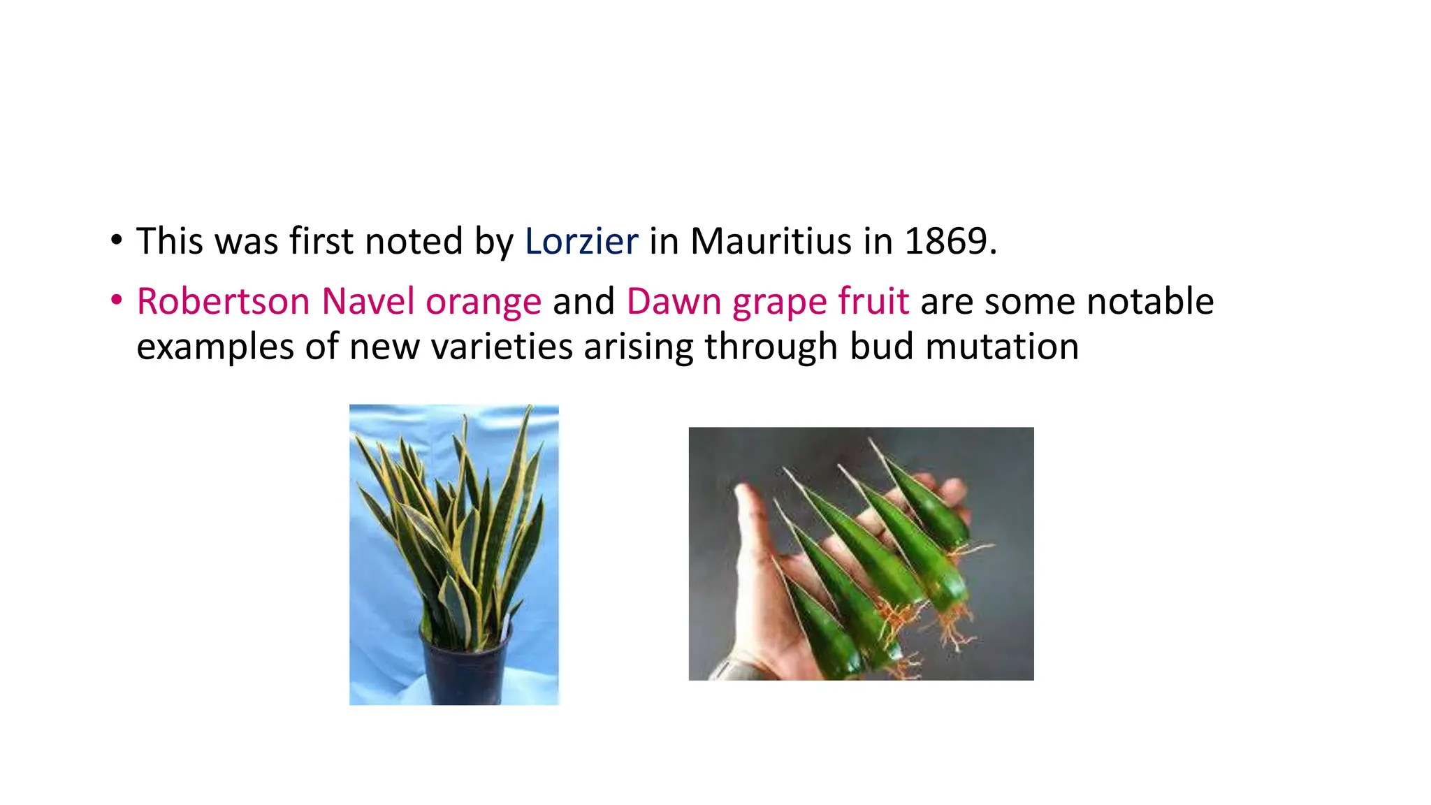 Genetic Variations In Plants | PPT
