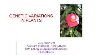 Genetic Variations In Plants | PPT
