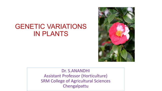 Genetic Variations In Plants | PPT | Gardening | Home & Garden