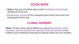 Genetic Variations In Plants | PPT