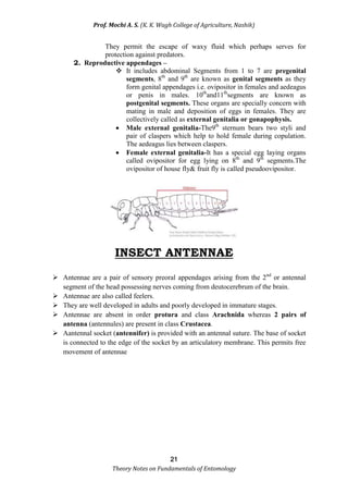 Theory notes of Fundamentals of Entomology | PDF
