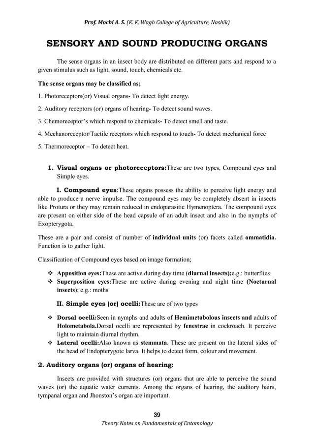 Theory notes of Fundamentals of Entomology | PDF