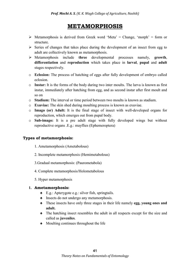 Theory notes of Fundamentals of Entomology | PDF
