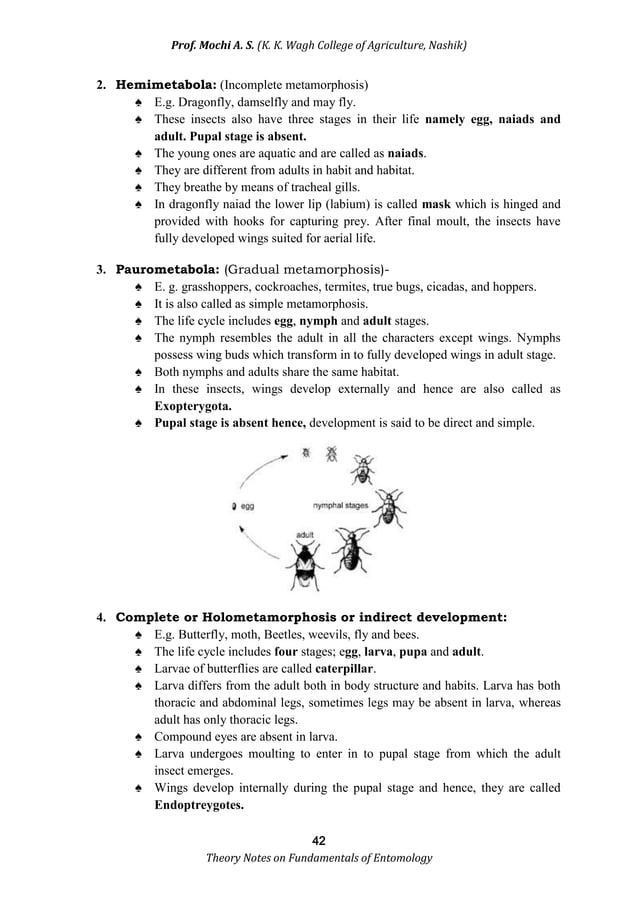Theory notes of Fundamentals of Entomology | PDF