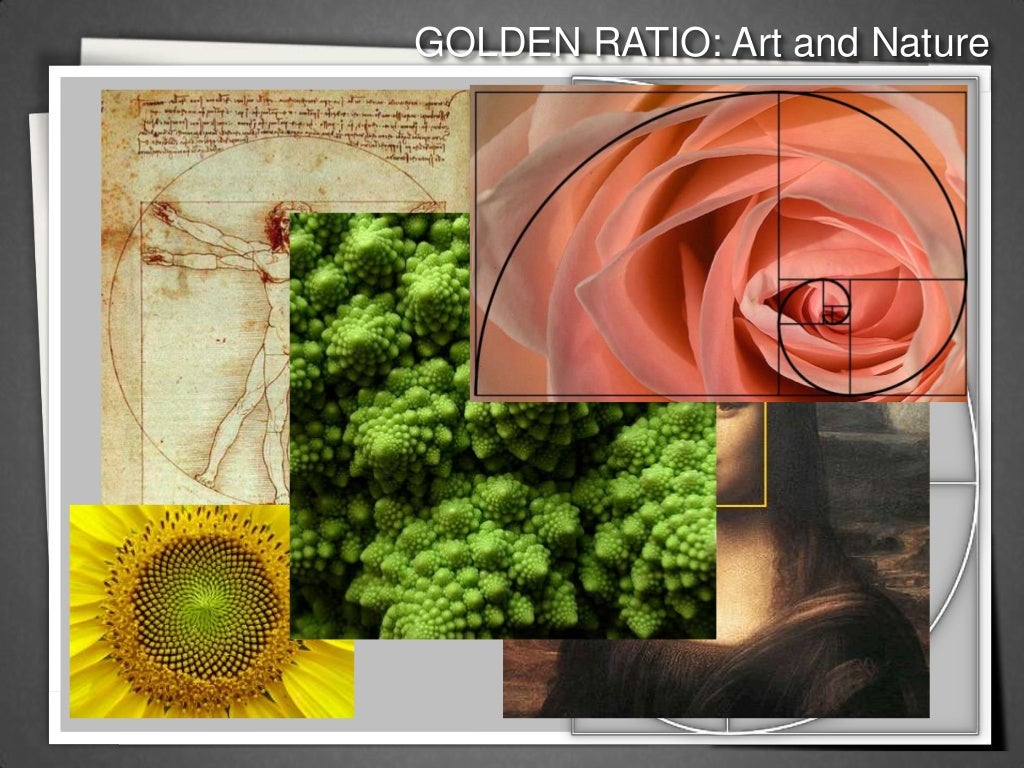 GOLDEN RATIO Art And Nature golden-ratio-art-and-nature