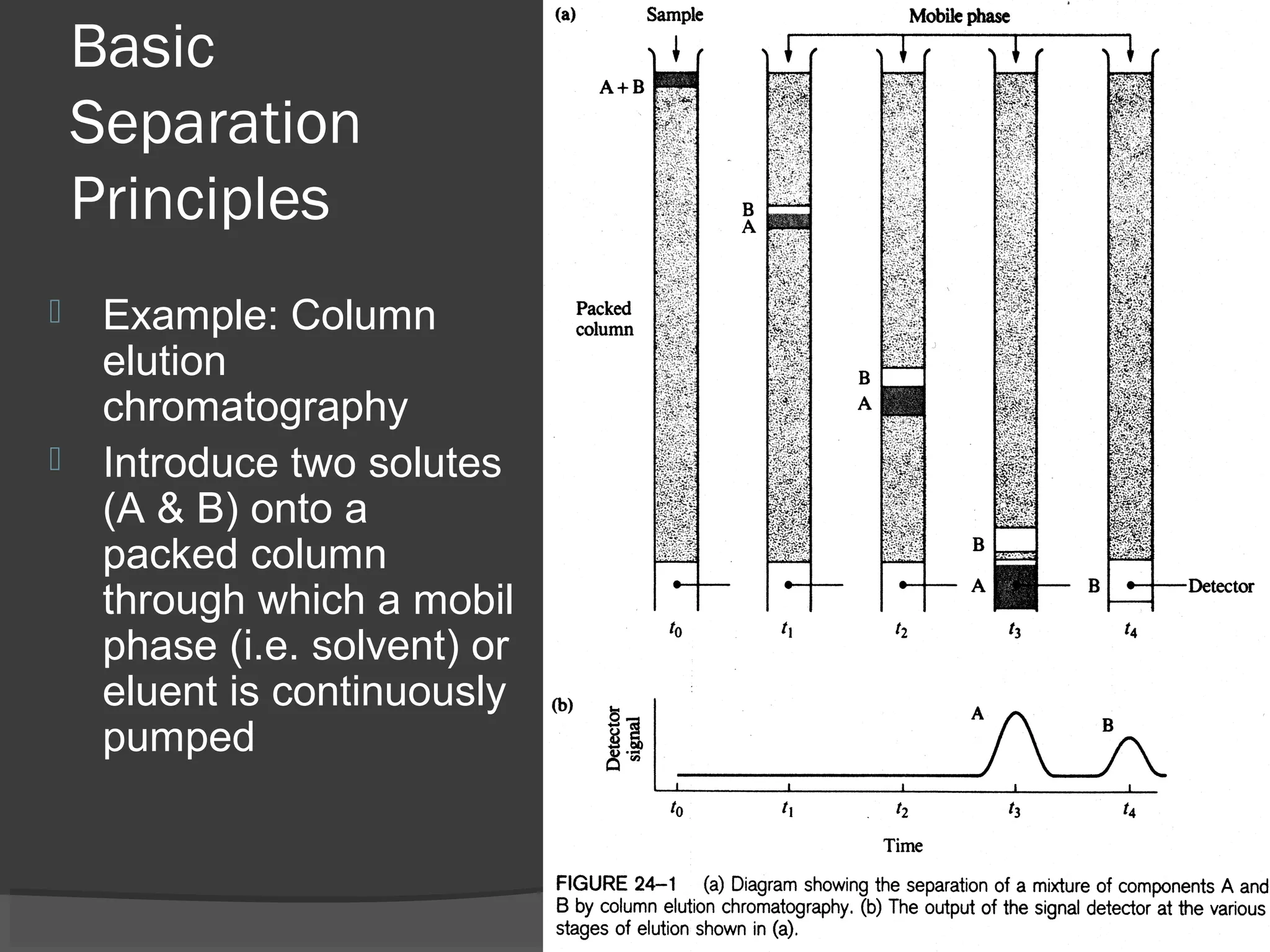 Theory of chromatographic separations | PPT
