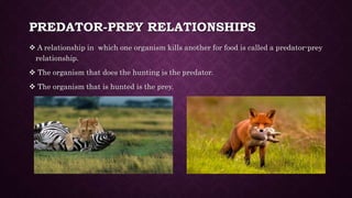 Coevolution Examples Predator And Prey