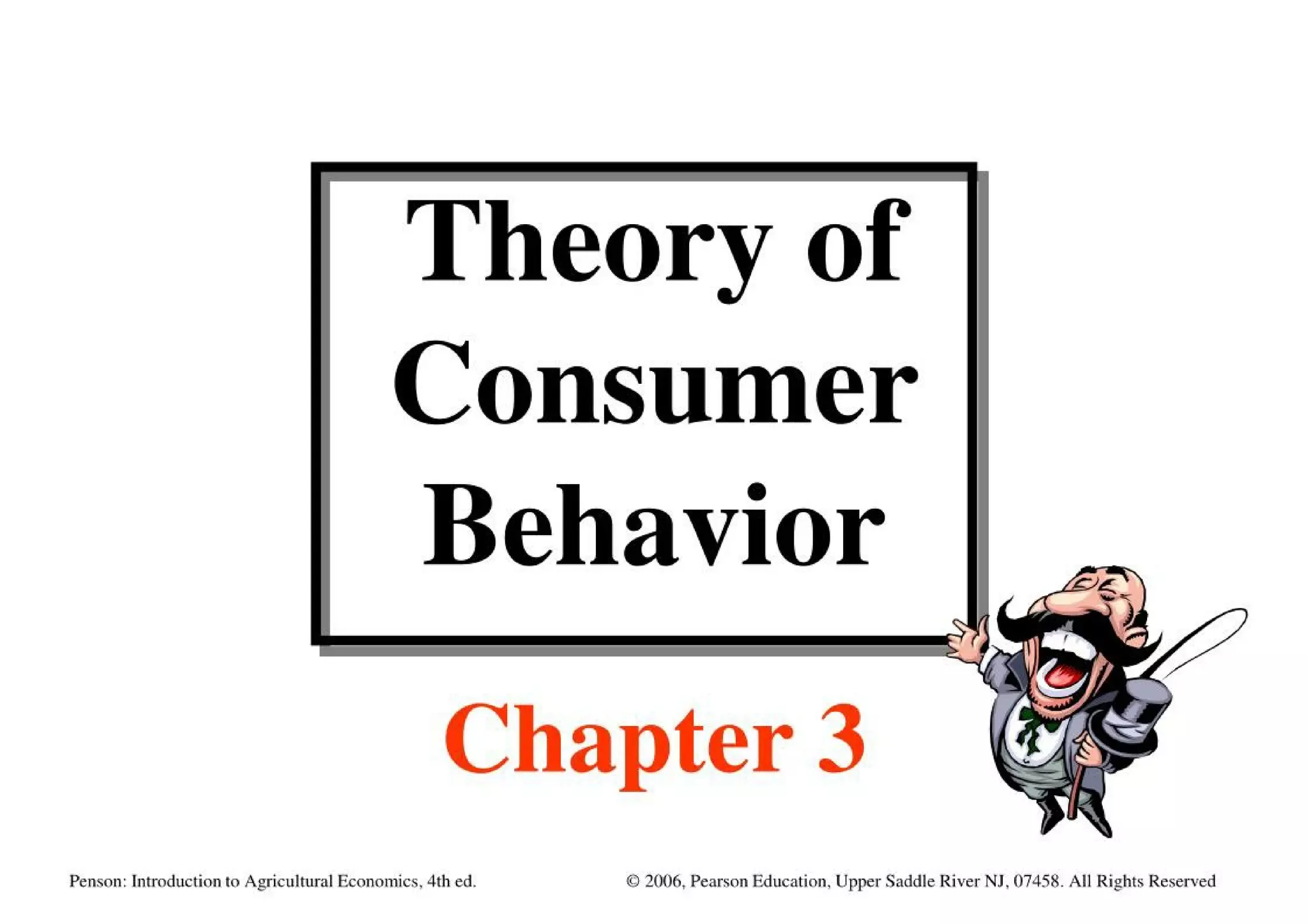 Theory Of Consumer Behavior | PDF