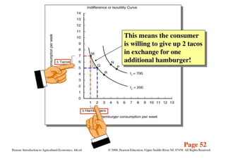 Theory Of Consumer Behavior | PDF