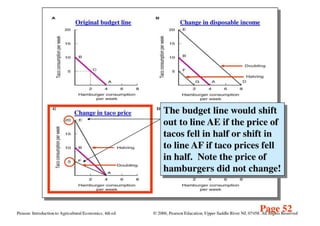 Theory Of Consumer Behavior | PDF