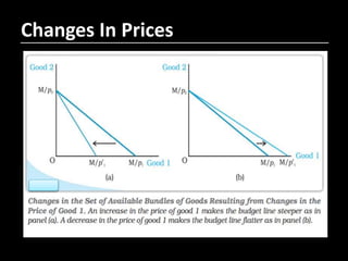 Theory of Consumer Behaviour Class 12 Economics | PPTX