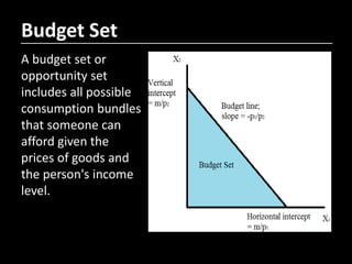 Theory of Consumer Behaviour Class 12 Economics | PPTX