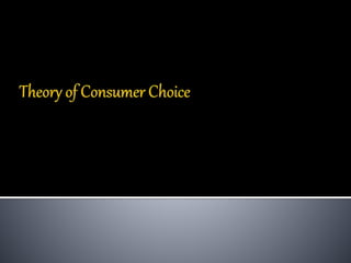 Theory of Consumer Choice Lecture Notes (Economics) | PPTX