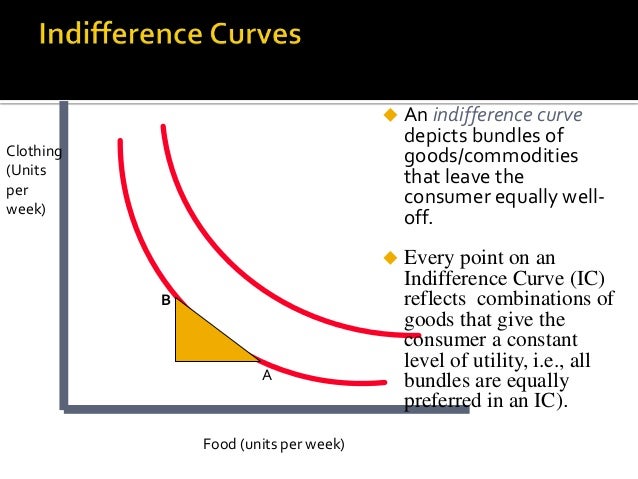Theory of Consumer Choice Lecture Notes (Economics)