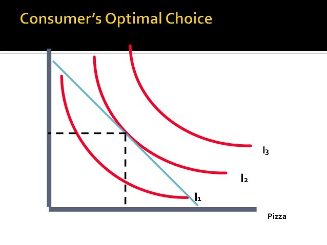 Theory of Consumer Choice Lecture Notes (Economics)