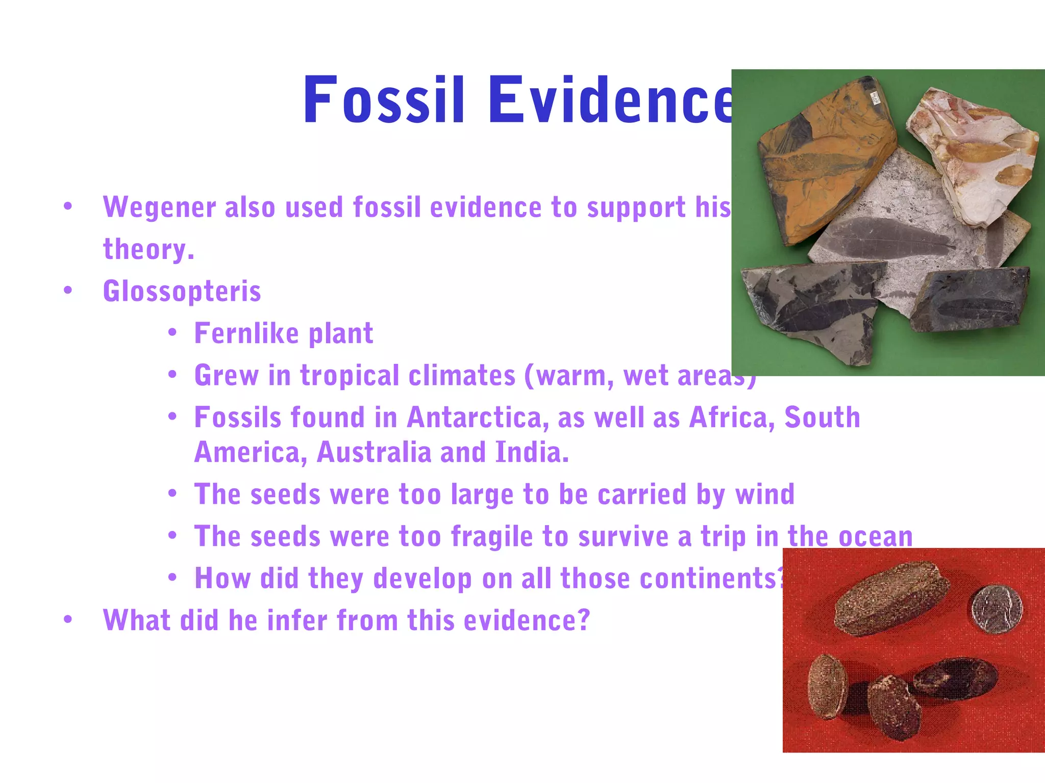 Theory+of+continental+drift | PPT
