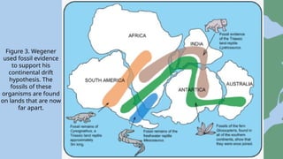 Theory of Continental Drift Science Presentation in Green Light Yellow ...