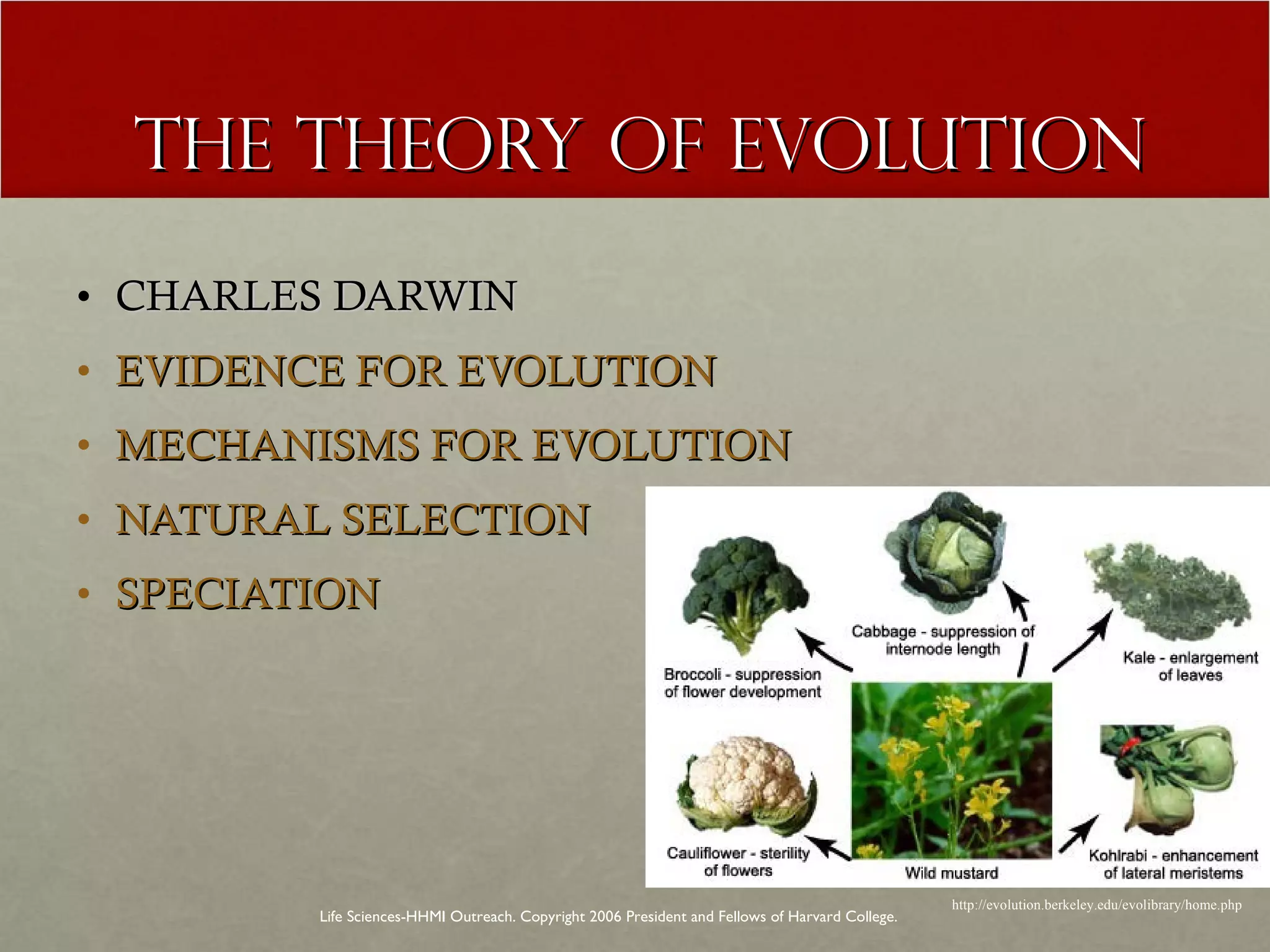 Theory of evolution | PPT