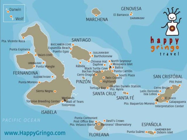 THEORY OF EVOLUTION | PPTX | Biological Sciences | Science