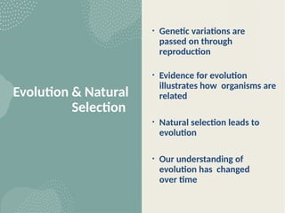 Theory of Evolution (fundamental principles) | PPTX