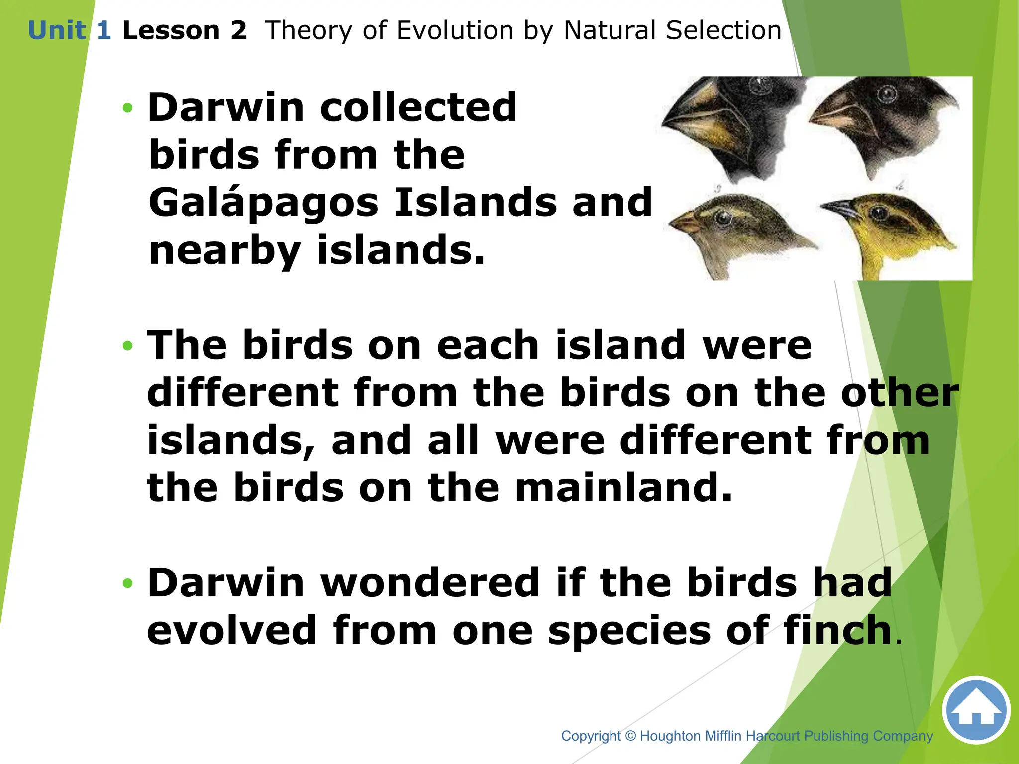 Theory of evolution by natural selection.pptx