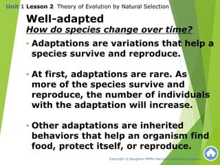 Theory of evolution by natural selection.pptx
