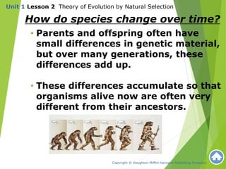 Theory of evolution by natural selection.pptx