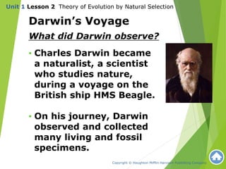 Theory of evolution by natural selection.pptx