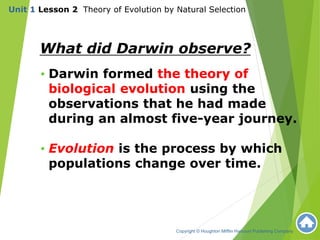 Theory of evolution by natural selection.pptx