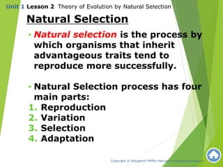 Theory of evolution by natural selection.pptx