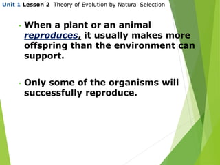 Theory of evolution by natural selection.pptx