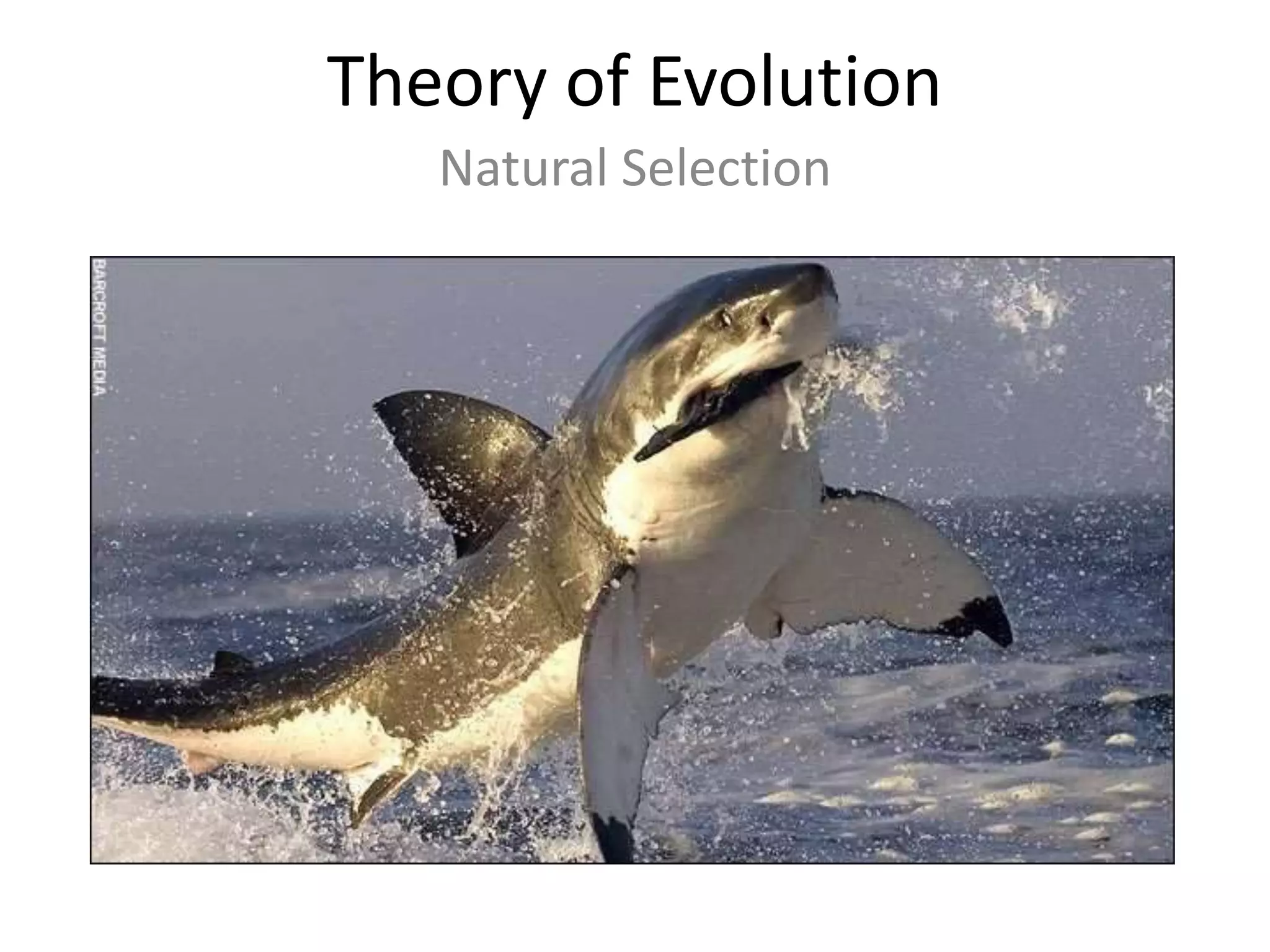 Theory of evolution notes | PPT