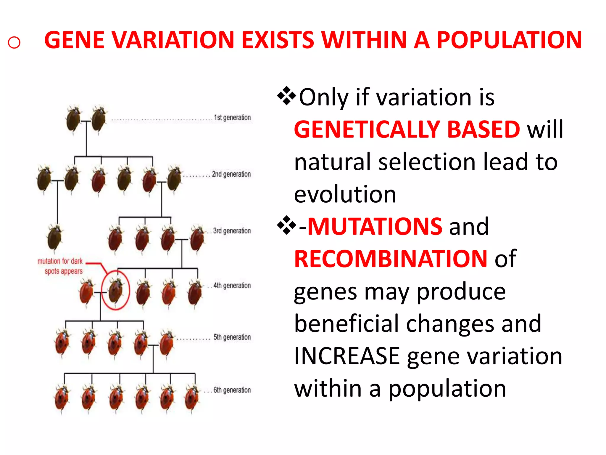 Theory of evolution notes | PPTX