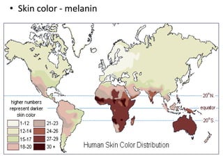 Theory of evolution notes | PPT